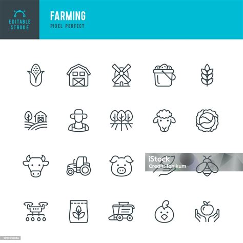 농업 라인 벡터 아이콘 세트 픽셀 완벽한 편집 가능한 스트로크 세트에는 농장 농부 농업 분야 가축 소 돼지 양고기 닭 꿀벌 풍차 밀 옥수수 양배추 정원 무인 항공기 트랙터
