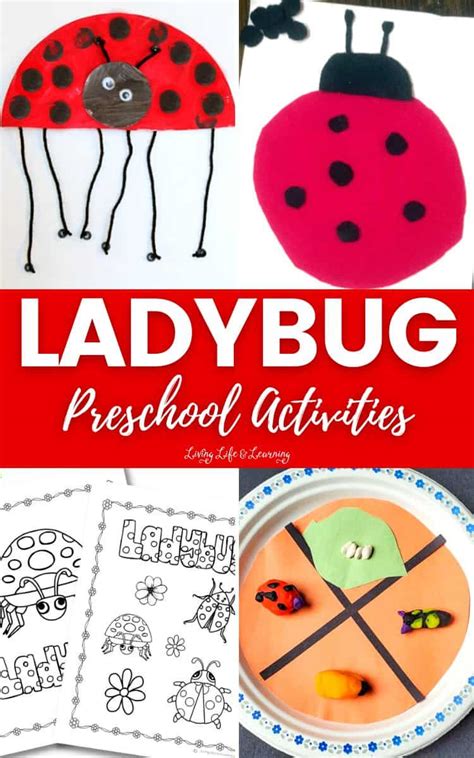 The Grouchy Ladybug Worksheets