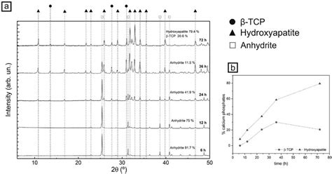A X Ray Powder Diffraction Patterns Showing The Mineralogical Download Scientific Diagram