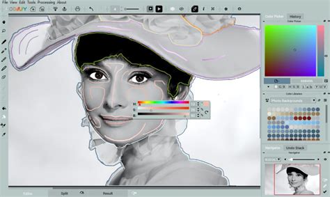 Photo Colorization Process Codijy