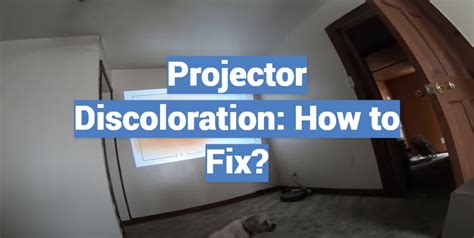 Projector Discoloration How To Fix ProjectorProfy