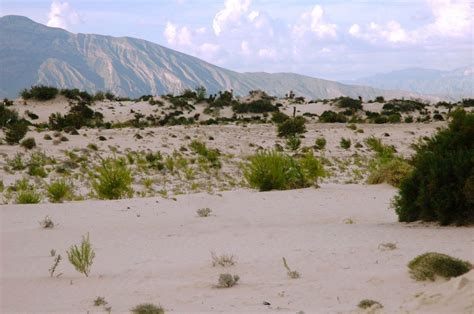 Que Ver Y Hacer En Torreón Destinos México