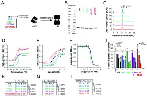 Diabody Db Formats Of Optimized Anti Alcam Scfv Variants Retain