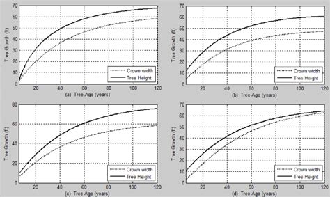 The Tree Growth In Height And Crown Width With Respect To Year For A