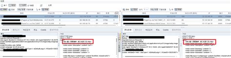 Lrp 2023 Chinese Characters Are Garbled In Snapshots On Vugen