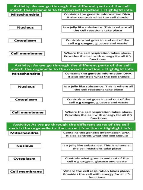 L2 Cell Structure Functions Pdf