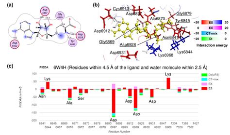 Fmo Results For 2 O Ribose Methyltransferase Sam Complex Pdbid 6w4h Download Scientific