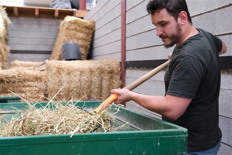 How Long Does Composting Take A Quick Guide For Busy Gardeners