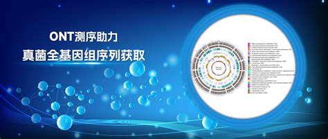 成功案例 首次公布f Solani Melongenae分离株 Cri 24 3 的高质量全基因组序列 知乎