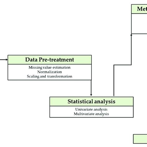 Flow Diagram Illustrating Data Handling Steps For Metabolomic