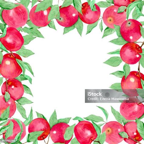 붉은 사과 가지 및 나뭇잎이있는 수채화 프레임 테두리 흰색 배경에 고립되어 있습니다 웨딩 디자인 로고 인사말 카드 스크랩북 승화 및 기타 아이디어 건강한 식생활에 대한 스톡