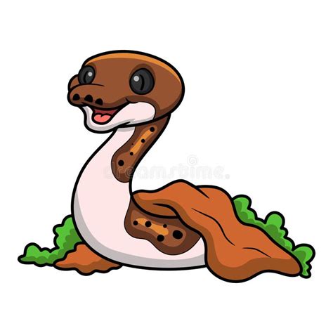 Cute Pied Reticulated Python Cartoon Out From Hole Stock Vector