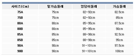 속옷 사이즈 여성 속옷 사이즈 재는법 브라 사이즈 표 팬티 사이즈 표 거들 사이즈 표 네이버 블로그