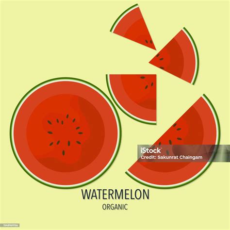 신선한 빨간 그림 수박 반쯤 열린 빨간 수박 삼각형 조각 수박 칵테일 조각 벡터 세트 자연 신선한 수박의 그림 개념에 대한 스톡