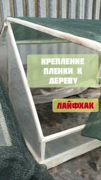 Мини ПАРНИЧКИ как ПРИКРЕПИТЬ пленку к ДЕРЕВУ Youtube