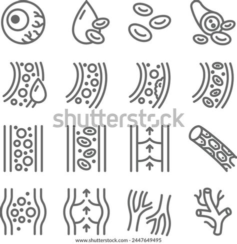 Vein Icon Illustration Vector Set Contains Stock Vector Royalty Free