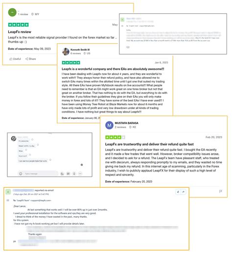 King Robot EA MT V CheaperForex