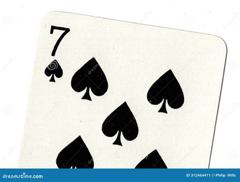 Seven Spades Card Suit Icon Vector Playing Cards Symbols Vector