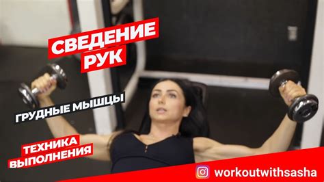 Разводка с гантелями на наклонной скамье грудь сашабраун тренер упражнения Youtube