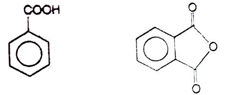 Deoxyribonucleoside Triphosphate Serve Dual Purposes The Purposes Are
