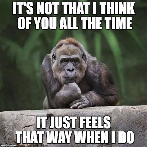 24 Thinking Of You Meme Funny ShuhagZdenka