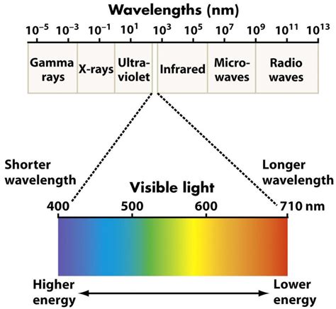 Introduction To Infrared Photography Duncan Phillips Knowle Top Studios