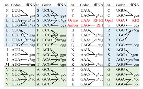 The Genetic Code And Its Decoding Trna Isoacceptors Of E Coli The Download Scientific