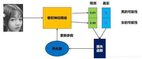 Pythonopencv入门 动手实现人脸性别识别python Opencv 根据人脸判断性别 Csdn博客