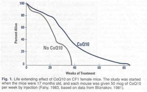 Coenzyme Q Plays Many Roles As Anti Aging Nutrient Nutrition Review