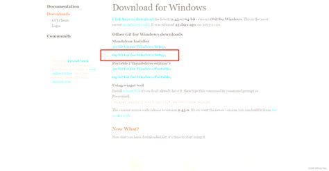 git安装 git 2 43 csdn博客