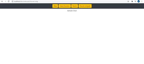 GitHub Bahadir Onal Sample Api Service My Sample API Application