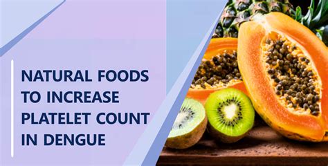 Natural Foods To Increase Platelet Count In Dengue Diet Dr Clinic