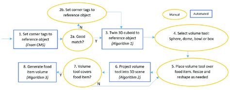 summary of manual and automated elements of the volume estimation