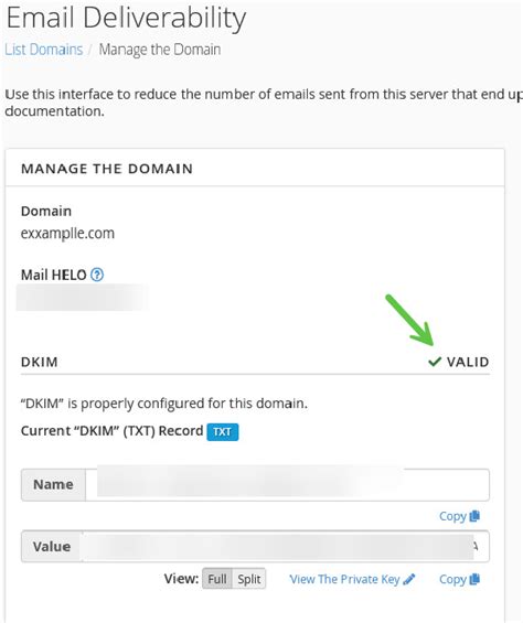 How To Enable Spf And Dkim Records In Cpanel To Protect Your Email Intohost