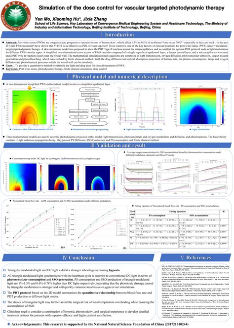 Pdf Simulation Of The Dose Control For Vascular Targeted Photodynamic Therapy