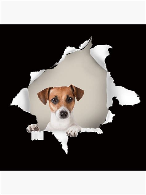 Dod Paper White Black Poster For Sale By Hafsaabde Redbubble