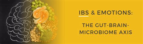 How Emotions Can Trigger Ibs Understanding The Gut Brain Microbiome Axis The Tummy Clinic