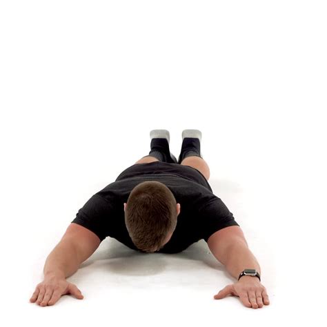 Full Exercise And Workout Move Library Trainwell