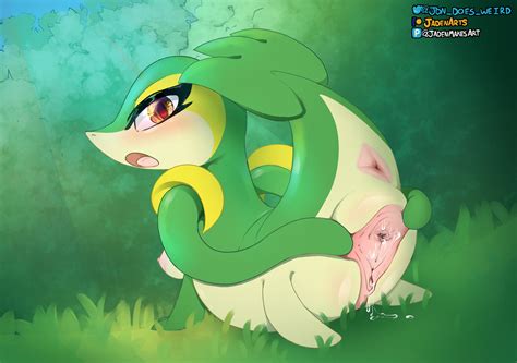 Post 5355854 Jadenarts Porkyman Snivy