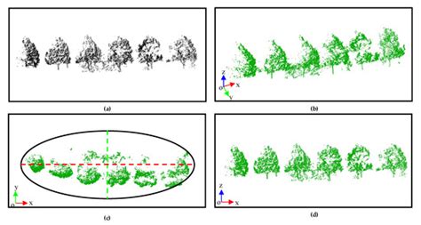 Remote Sensing Special Issue Applications Of Individual Tree Detection Itd