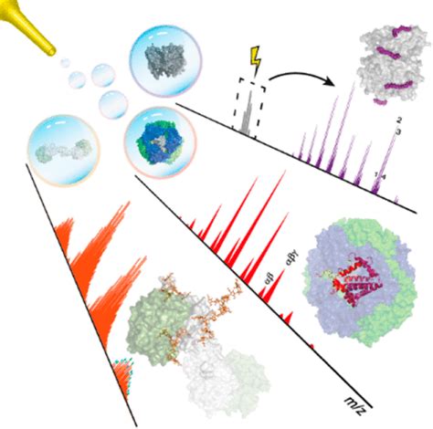 Integration Of Mass Spectrometry Data For Structural OFF