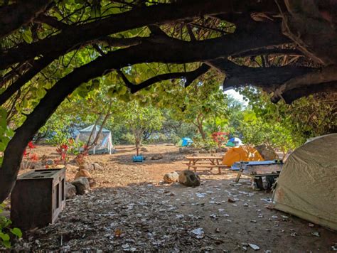 Camp Olowalu On Maui A Camping Resort And Beach Destination All In One