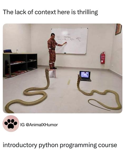 El Meme Plug Ha Ha 😆 Instagram