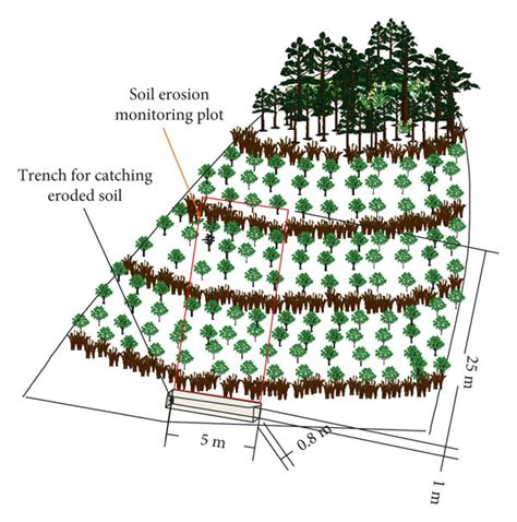 Designing A Monitoring Plot And Caching Eroded Soil In The Field