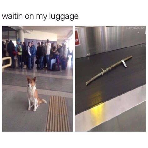 39 Airport Memes A Savage Journey Through Security Lines Delayed