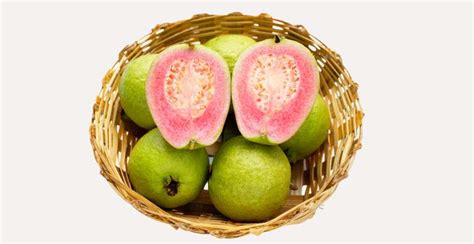 Pink Guava Description Flavor Benefits And Uses Gardeners Magazine
