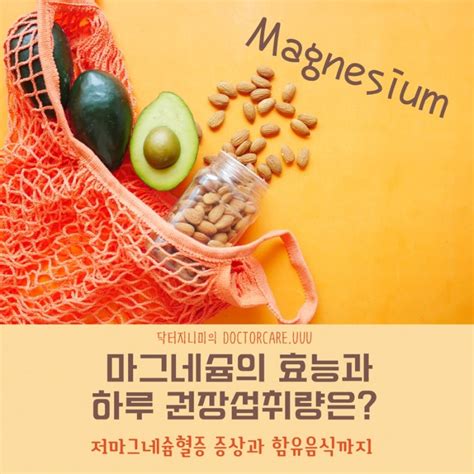 마그네슘 Magnesium 의 효능과 하루 권장 섭취량은 마그네슘이 풍부한 음식은 무엇인가요 1 네이버 블로그