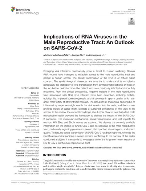 Pdf Implications Of Rna Viruses In The Male Reproductive Tract An Outlook On Sars Cov 2