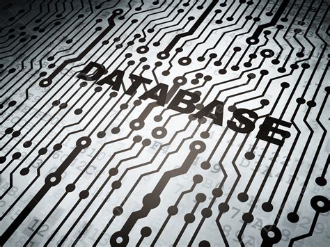 Programming Concept Circuit Board With Database Chip Layout Firewall Photo Background And