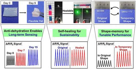具有抗脱水、自我修复和形状记忆特性的低温聚合聚两性电解质凝胶，用于可持续和可调谐传感电子设备 Acs Applied Materials And Interfaces X Mol